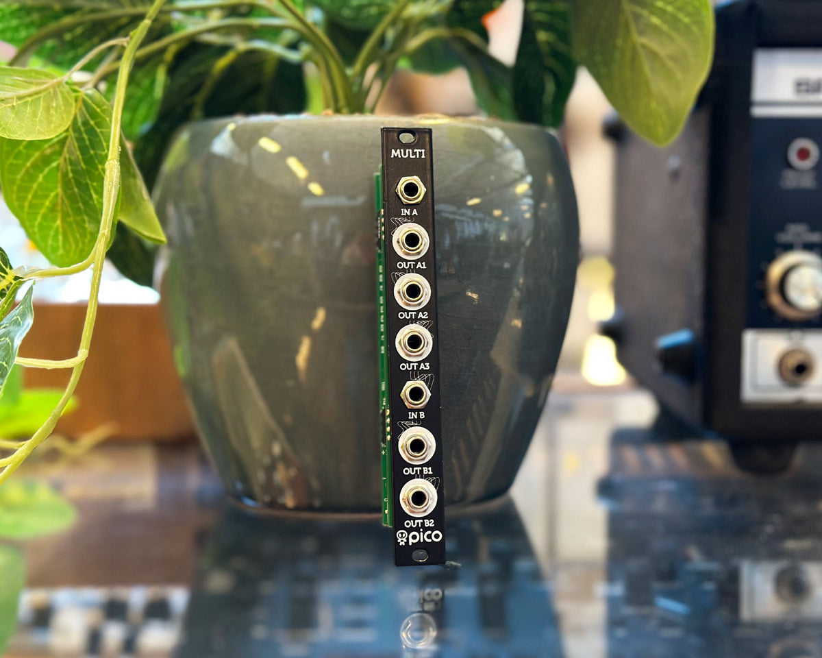 Erica Synths Pico Multi2 Eurorack Module – Found Sound