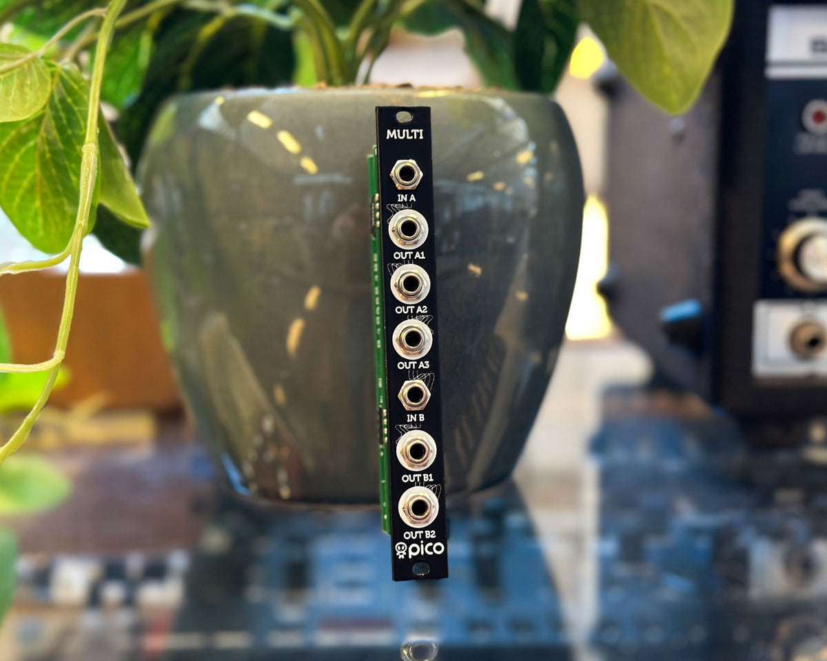 Erica Synths Pico Multi2 Eurorack Module – Found Sound