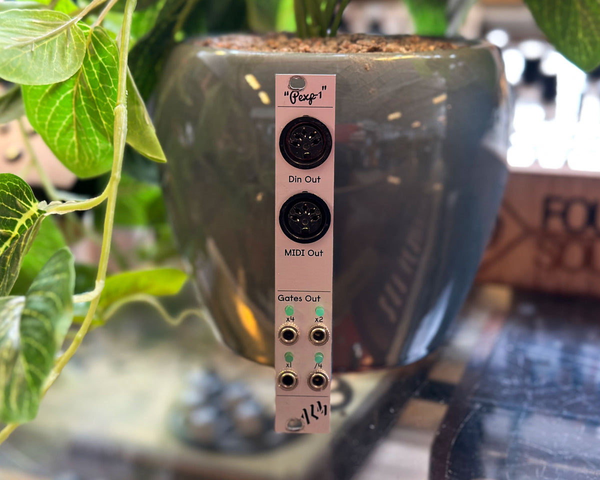 ALM Busy Circuits PEXP-1 Pam Expander 01 – Found Sound