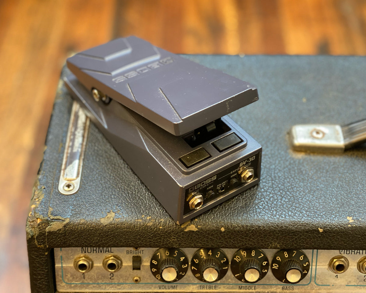 BOSS EV-30 – Found Sound