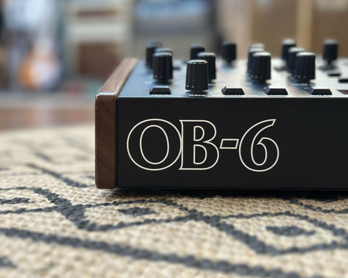 Dave Smith Instruments OB-6 Module – Found Sound