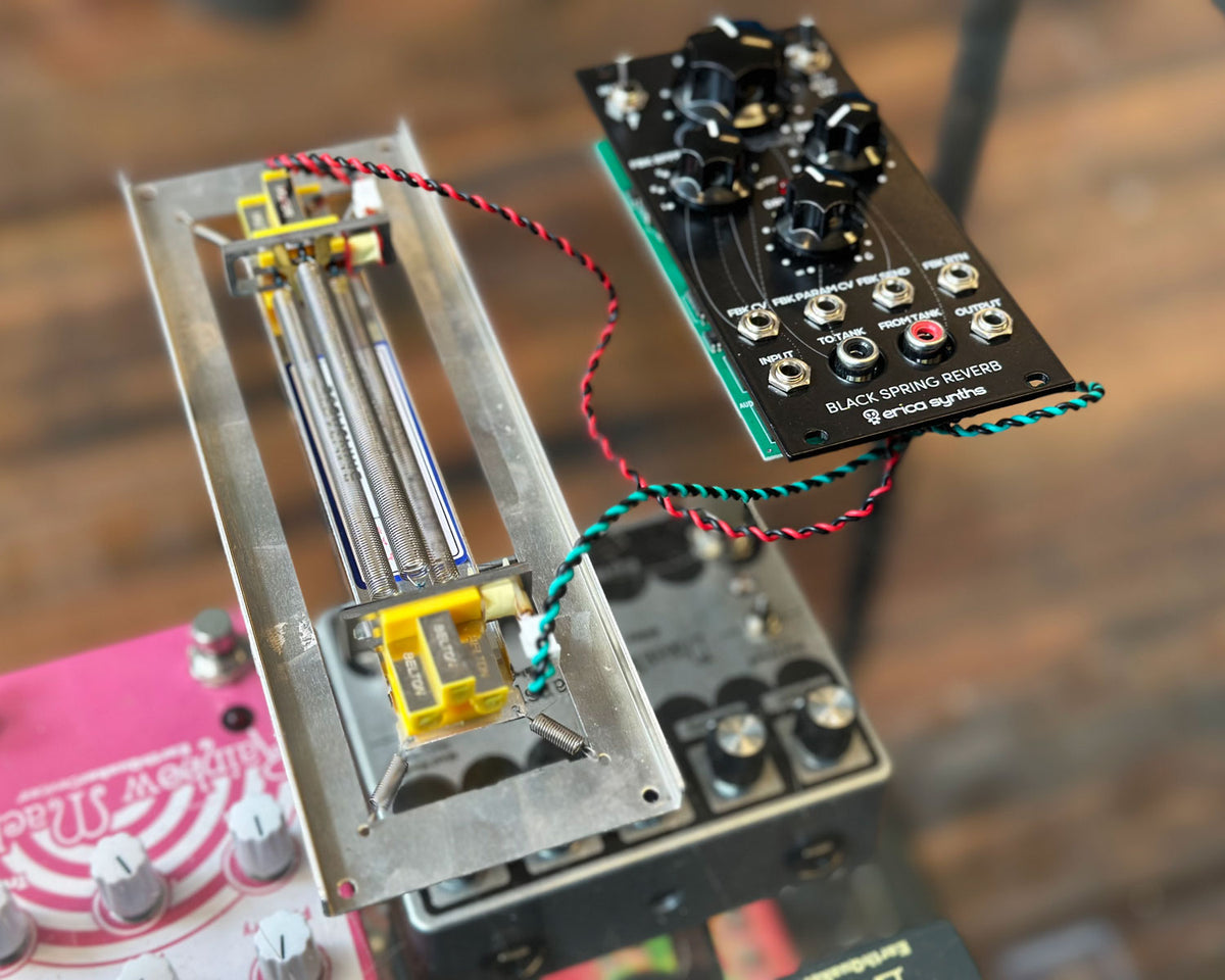 Erica Synths Black Spring Reverb with Belton BMN3AB3E – Found Sound