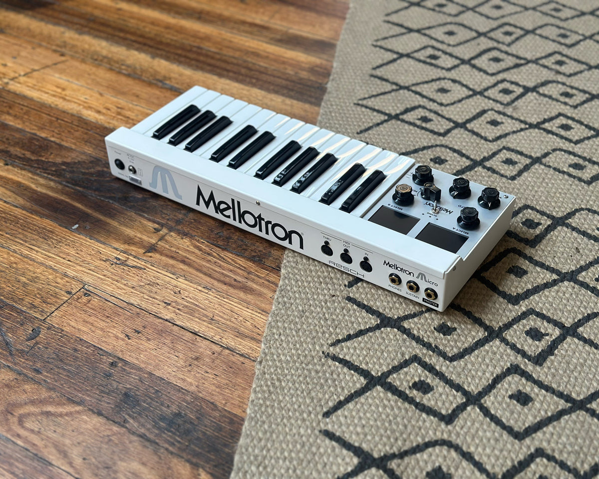 Mellotron M4000D Micro – Found Sound