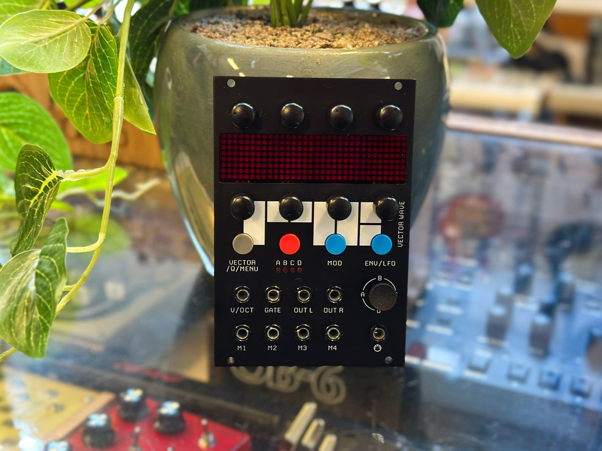 RYK Modular Vector Wave – Found Sound