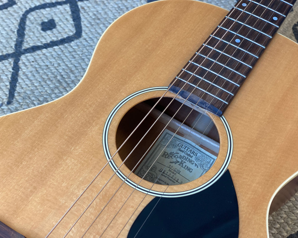 Recording King RP-G9M – Found Sound