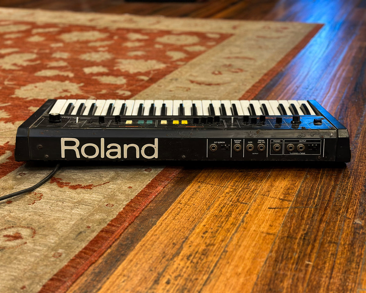 Roland RS-09 Organ/Strings 09 Polyphonic Analogue Synthesizer – Found Sound