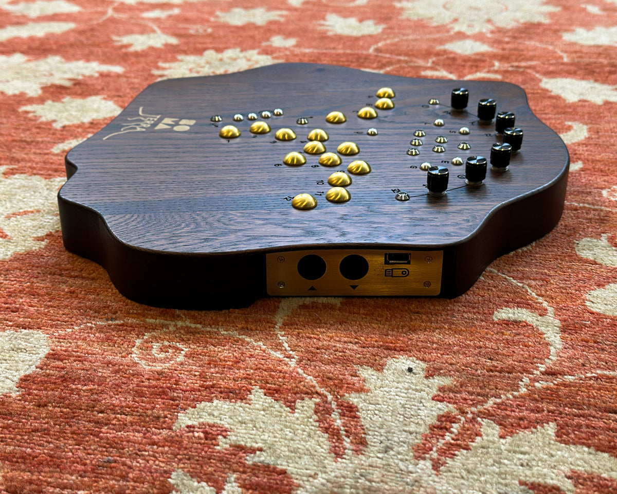 Soma Laboratory Terra - Dark Stain – Found Sound