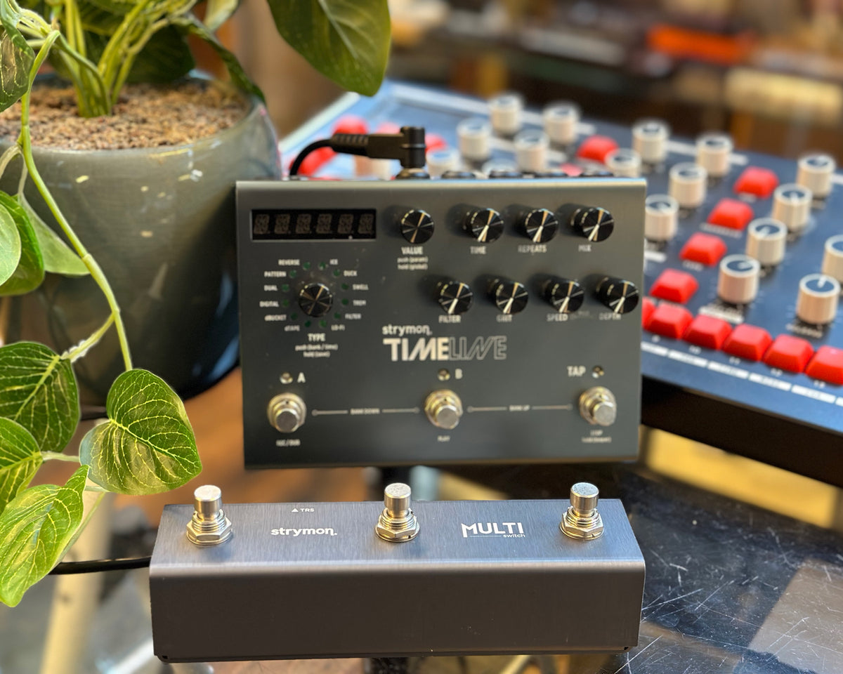 Strymon Timeline Multi Delay with Bonus MultiSwitch – Found Sound