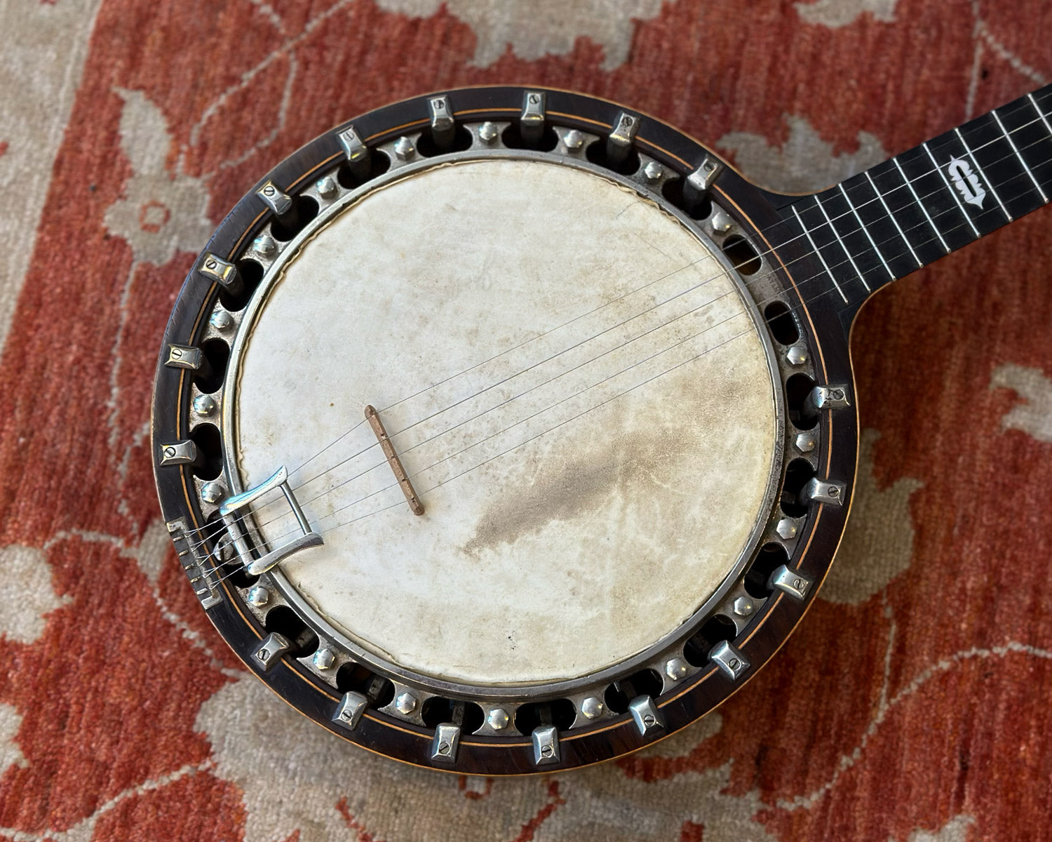 zither banjo