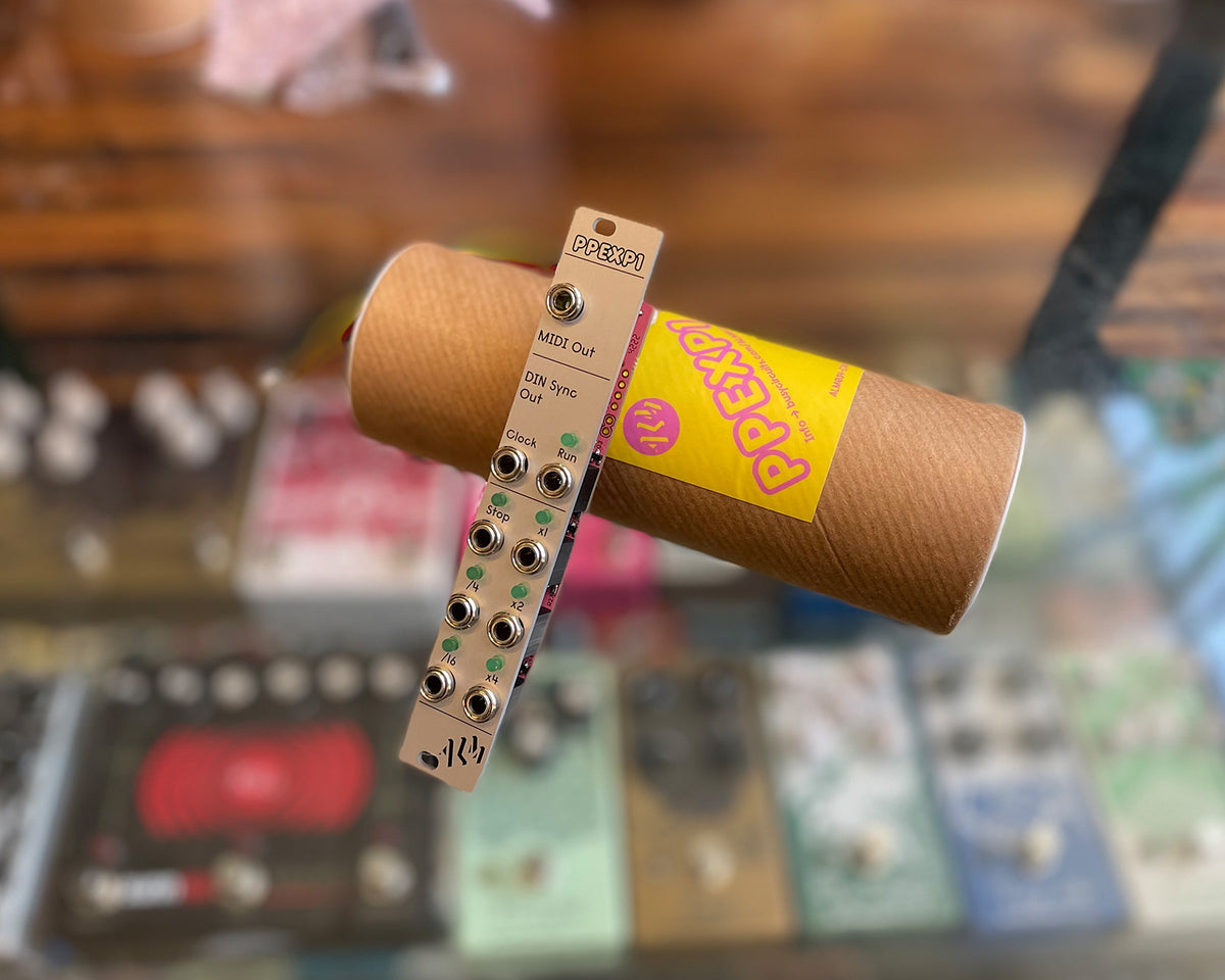 ALM Busy Circuits PPEXP-1 4HP Pamela's PRO expander – Found Sound